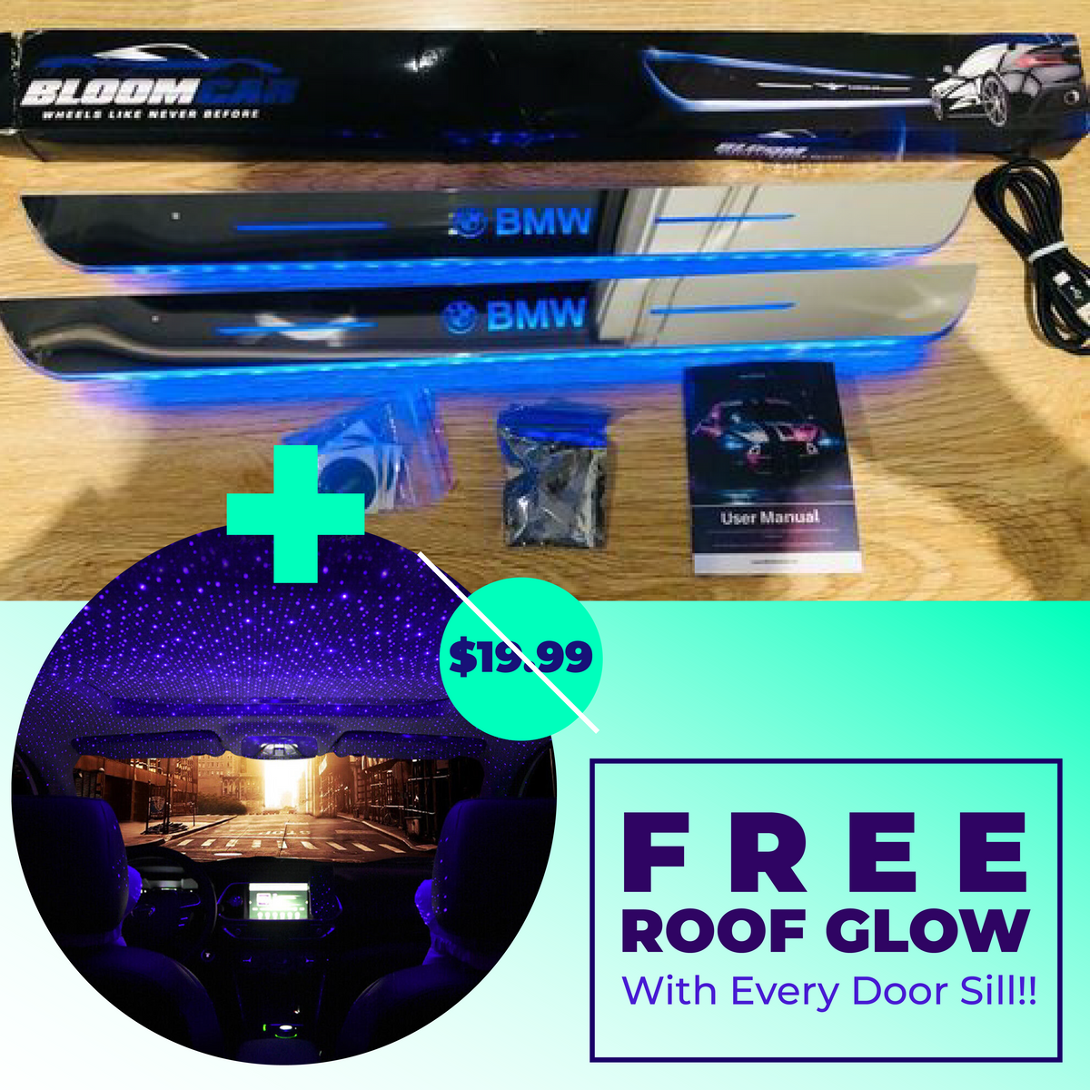 BloomCar™ LED Door Sill 2.0 (Customized) – TheBloomCar™